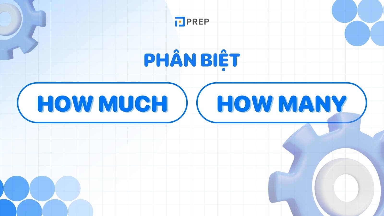 Bật mí cách dùng How much và How many chính xác!