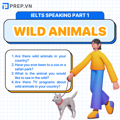 Bài Mẫu IELTS Speaking Part 1 Topic Wild Animals Band 8.0+