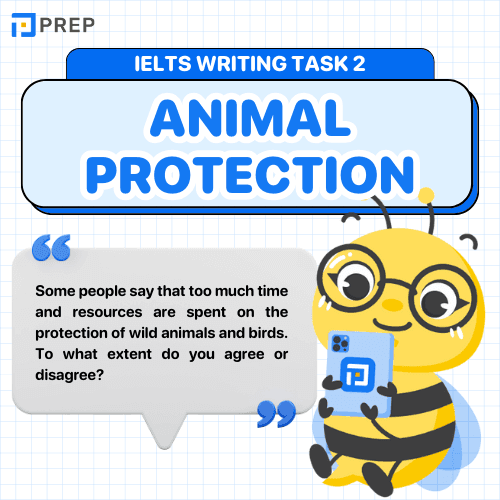 Bài mẫu IELTS Writing Task 2 Animal protection band 8.0+