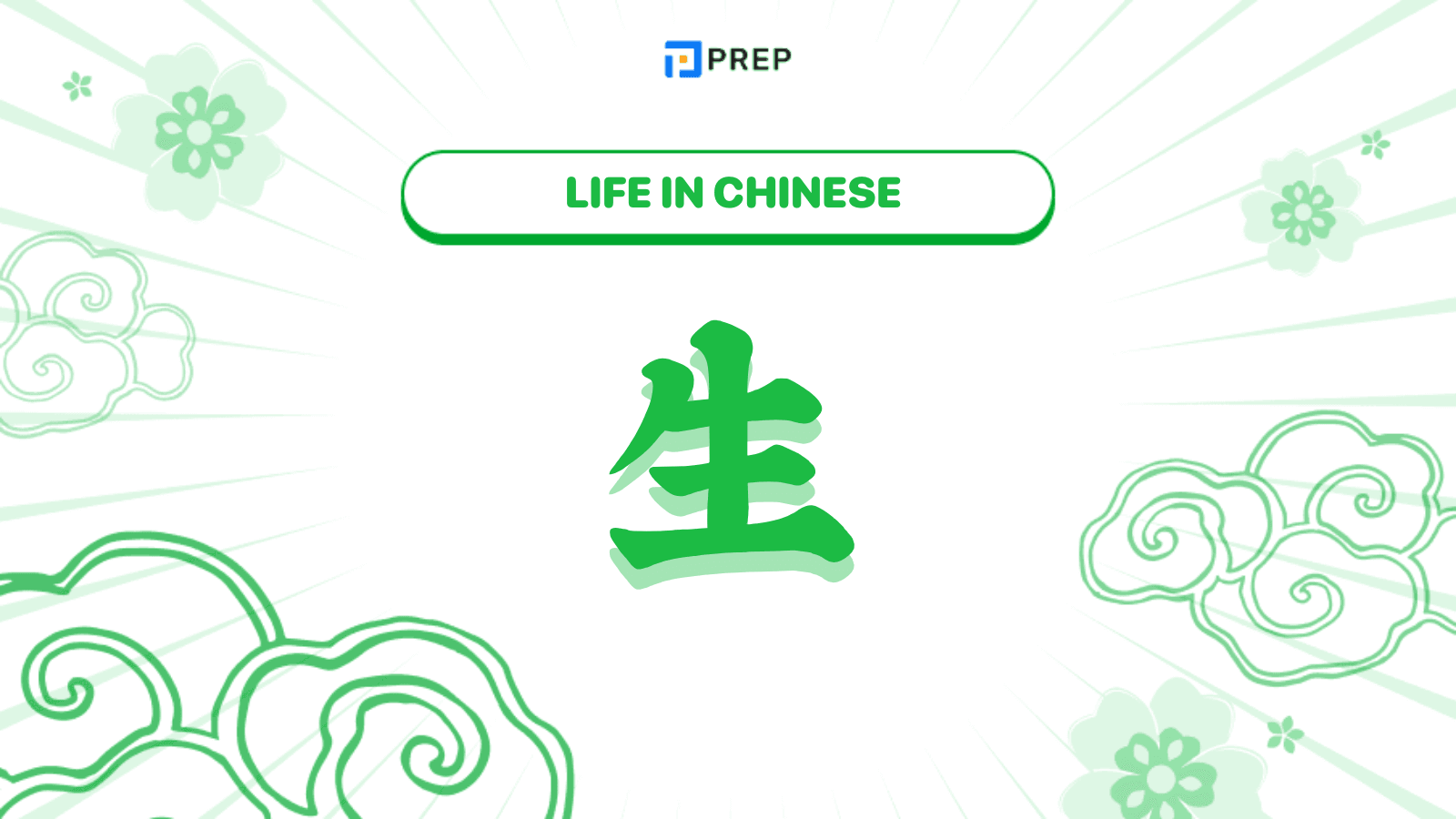 What Is Life in Chinese? A Complete Guide to 生 (shēng)