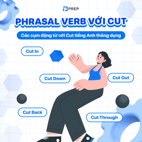 9 Phrasal verb với Cut tiếng Anh thông dụng nhất hiện nay