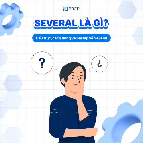 Several là gì? Tổng hợp cách dùng phổ biến của Several